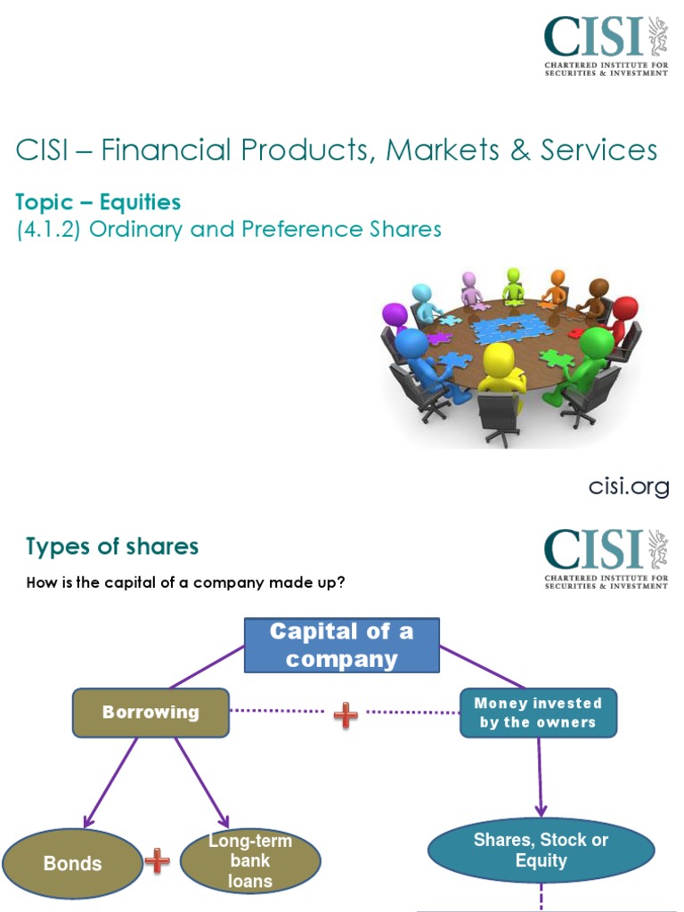 3 Ordinary and Preference Shares | PDF | Preferred Stock | Common Stock