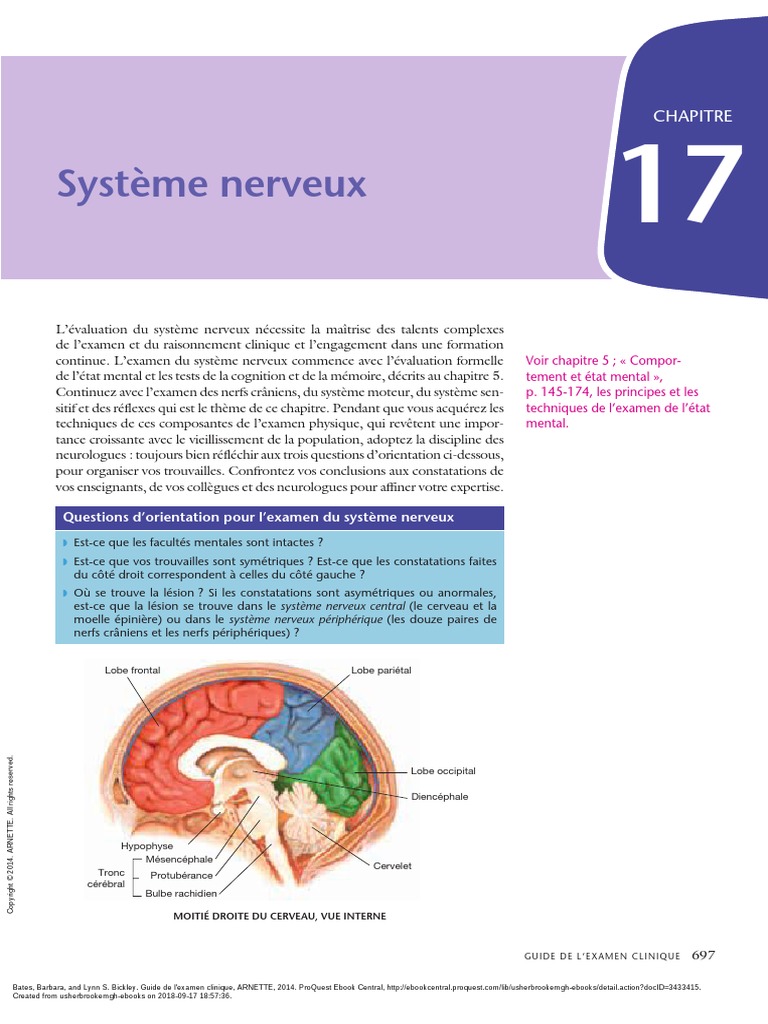 Guide de L'examen Clinique - (CHAPITRE 17 Système Nerveux) PDF | PDF ...