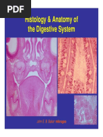 Reflexology Chart | PDF | Abdomen | Lymphatic System