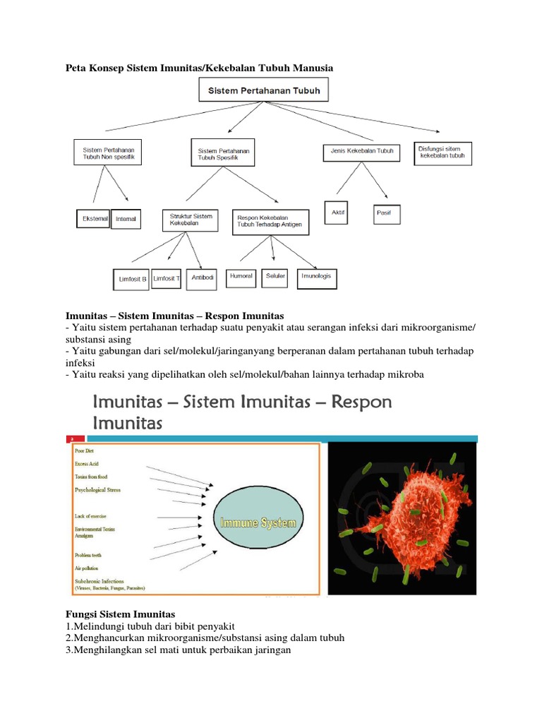 Peta Konsep Sistem Imunitas | PDF