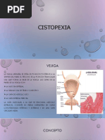 CISTOCLISIS | PDF | Especialidades Medicas | Riego