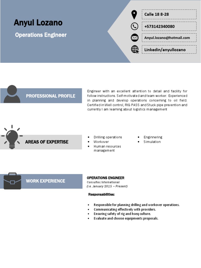 Curriculum Vitae Format PDF | PDF | Engineering | Cognition