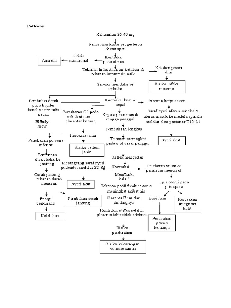 Pathway Persalinan Normal dan Nyeri | PDF