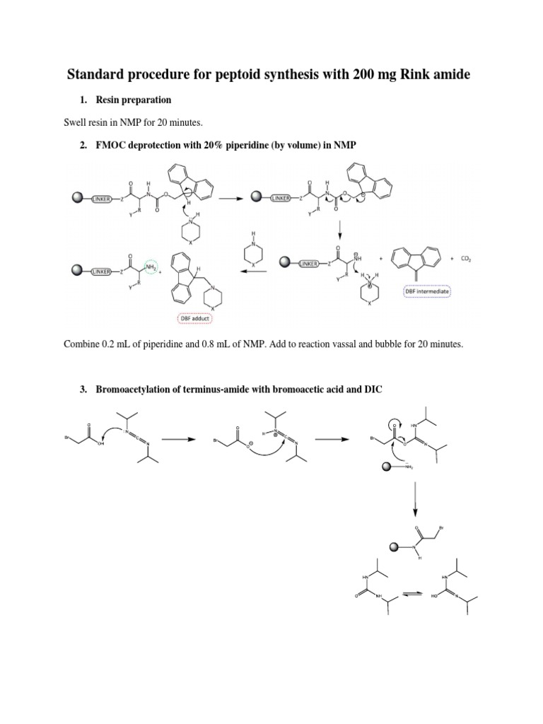 Standard Procedure For Peptoid Synthesis With 200 MG Rink Amide | PDF