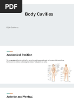 Body Cavities, Regions and Quadrants | PDF | Abdomen | Anatomy
