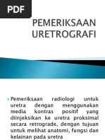 Thorax PA, AP Dan Lateral, RLD Dan LLD | PDF