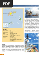 Prima Energi: Indonesia's Oil Future | PDF | Petroleum Reservoir ...