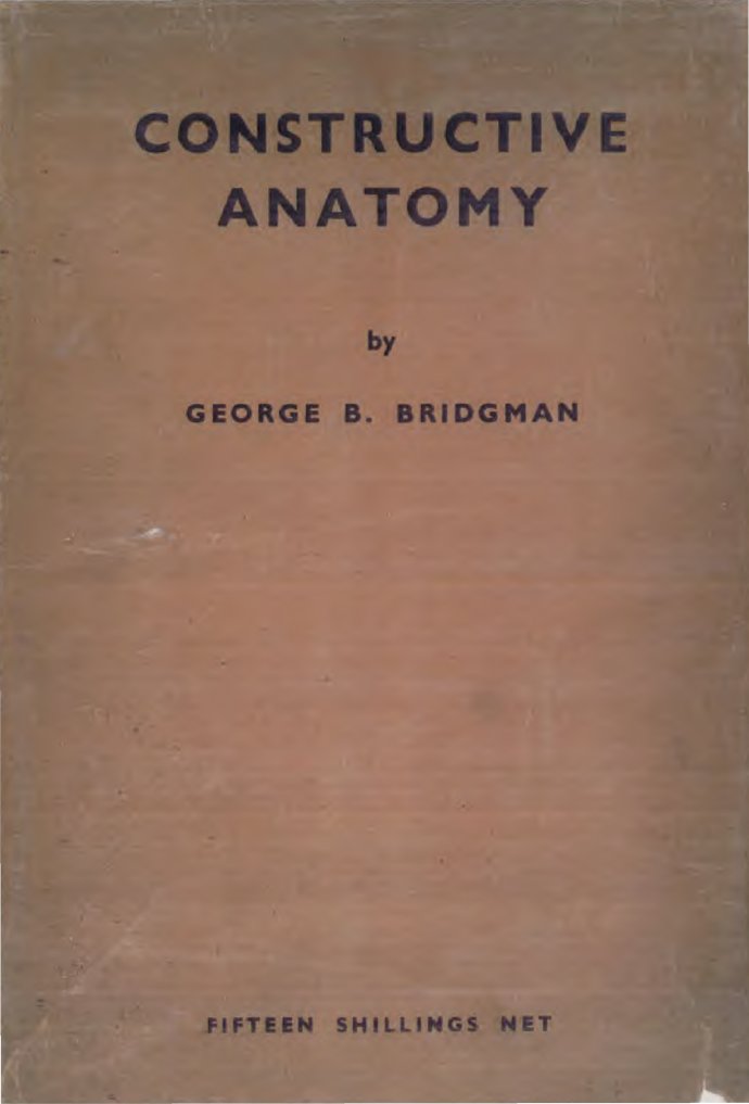 Bridgman - Constructive Anatomy | PDF