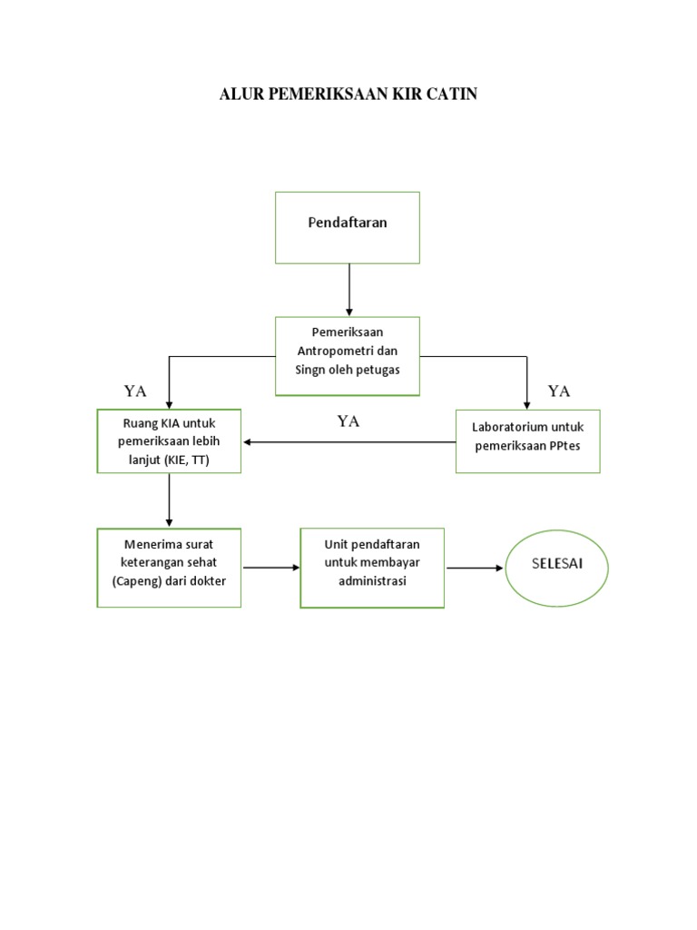 Alur Pemeriksaan Kir Catin | PDF