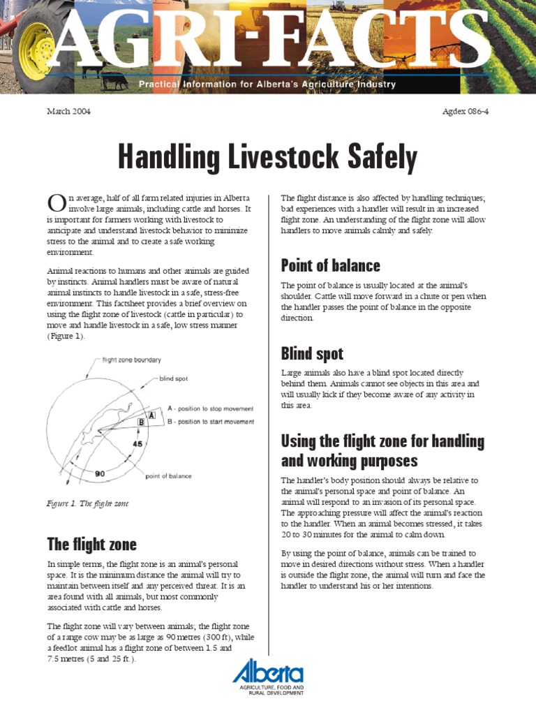 Handling Livestock Safely: Point of Balance | PDF | Animals And Humans ...