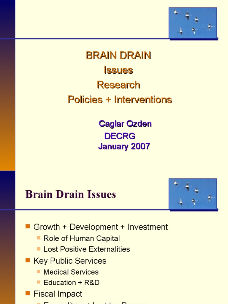 Brain Drain Issues Research Policies + Interventions | PDF | Human ...