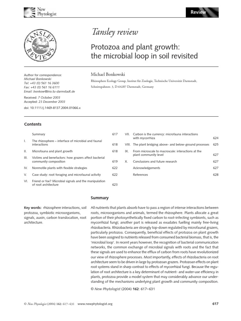 Bonkowski 2004 New Phytologist | PDF | Root | Protozoa