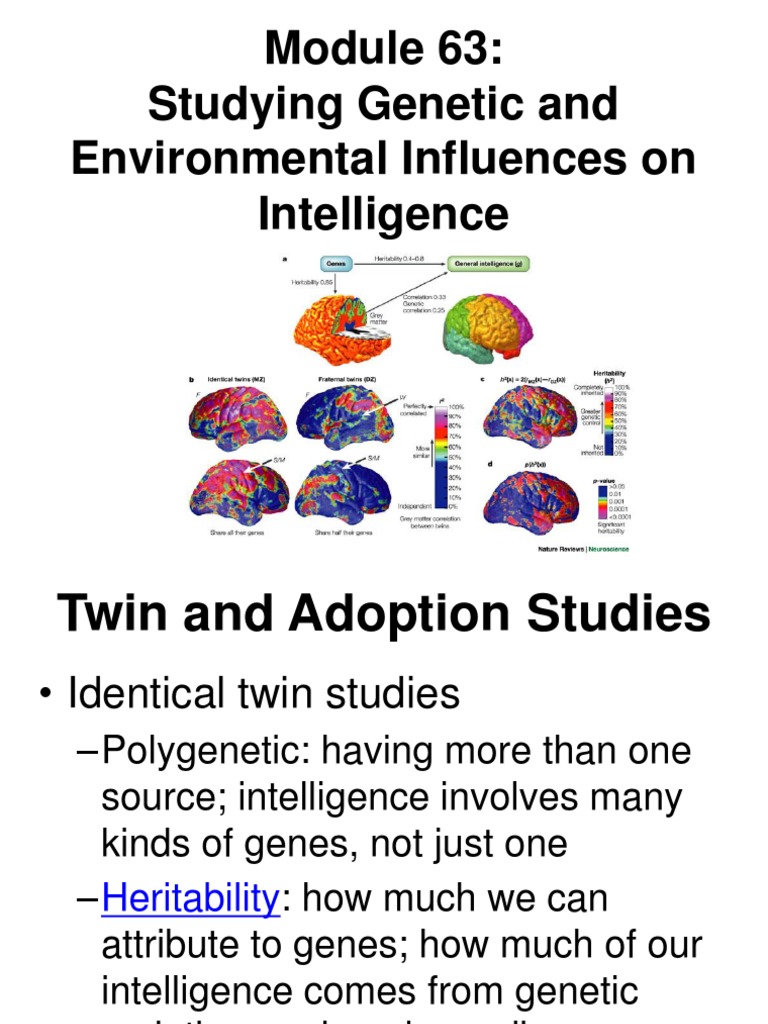 Studying Genetic and Environmental Influences On Intelligence | PDF