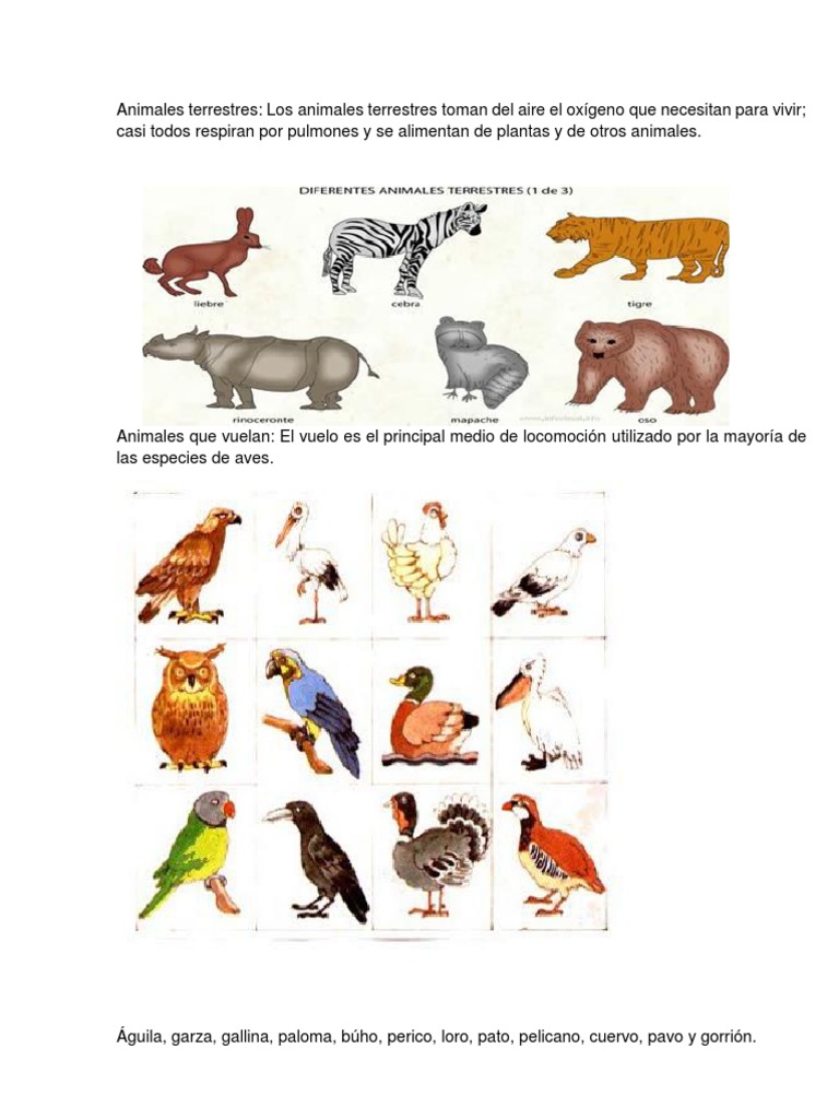 Animales Terrestres
