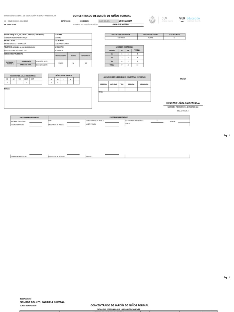 Formato C1 2018 | PDF