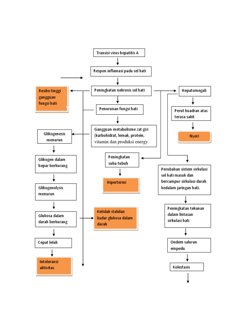 Pathway Hepatitis | PDF