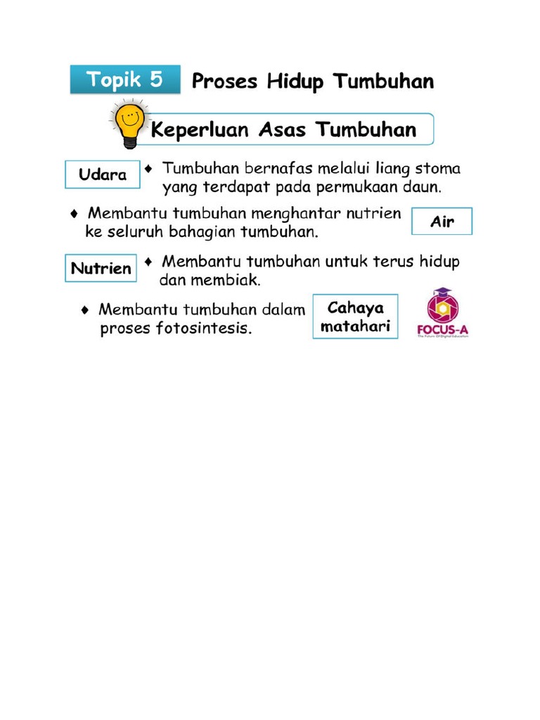 Keperluan Asas Tumbuhan Nota Upsr | PDF