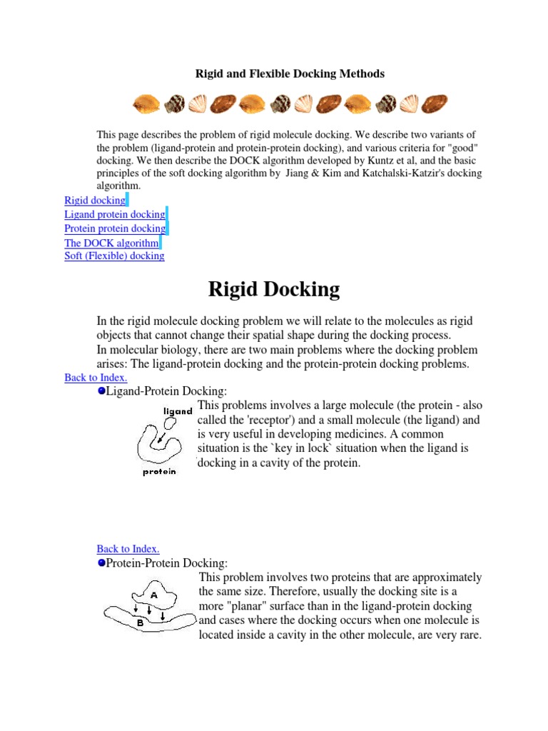Rigid and Flexible Docking Methods | PDF | Docking (Molecular ...