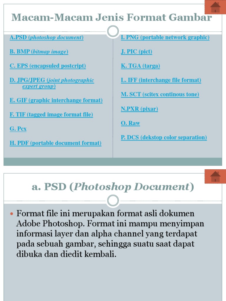 Macam-Macam Jenis Format Gambar | PDF