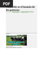 Ciclo de Vida de La Vaca | PDF | Vacas | Leche