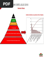 Piramide de Bird 1 | PDF | Seguridad | Perros