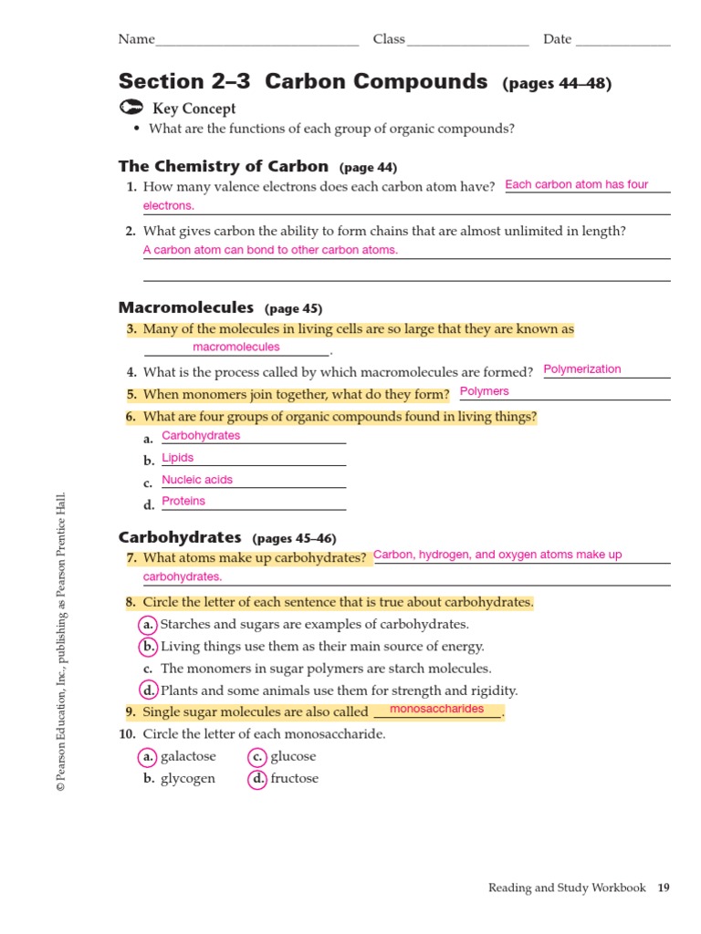 2.3 Guided Notes With Answers | PDF | Carbohydrates | Macromolecules