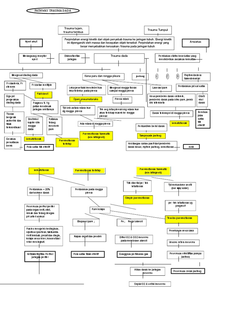 Pathway-Trauma-Dada 3 | PDF