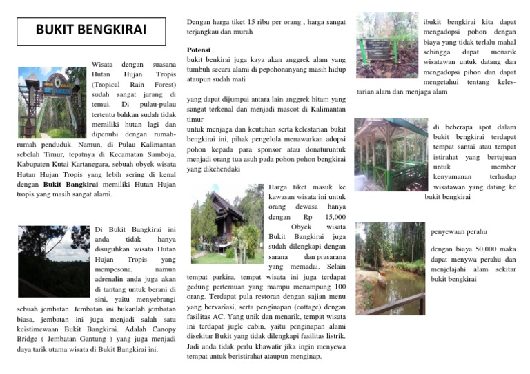 Contoh Leaflet | PDF