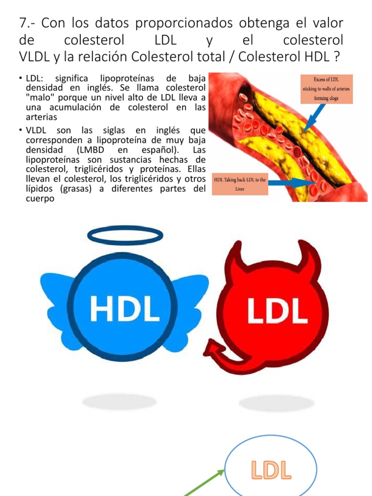 7.-Con Los Datos Proporcionados Obtenga El Valor de Colesterol LDL y El ...