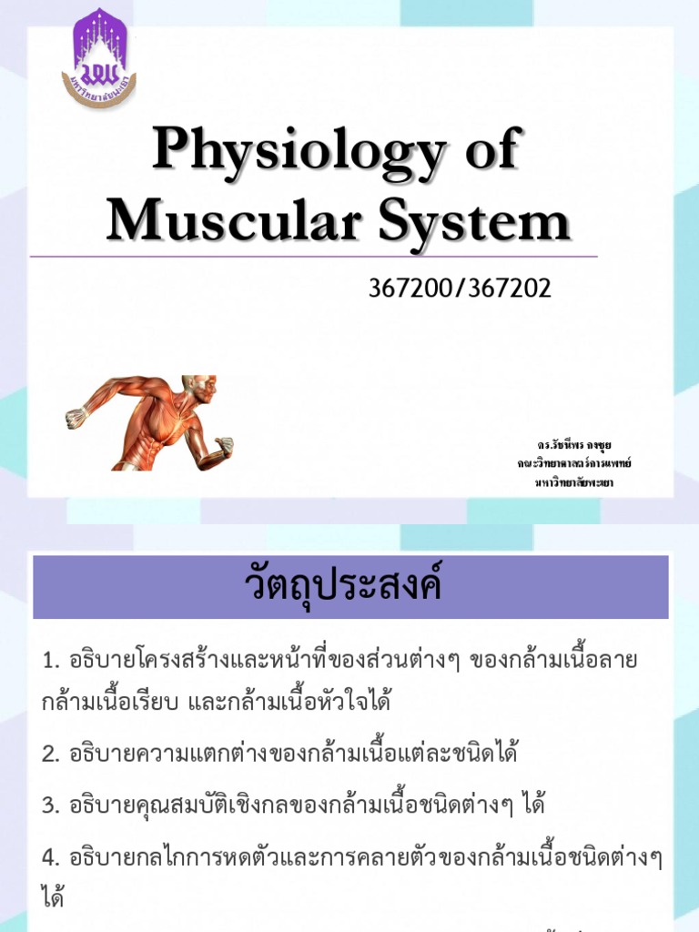 Physiology of Muscular System-Basic-367xxx PDF | PDF