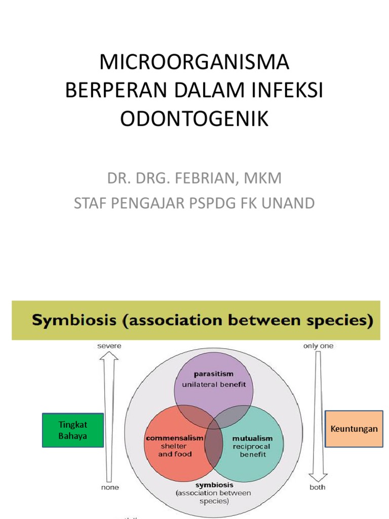 Microorganisma Yang Berperan Dalam Infeksi Odontogenik | PDF