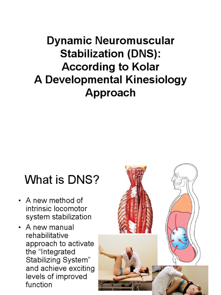 Dynamic Neuromuscular Stabilization (DNS): According to Kolar A ...