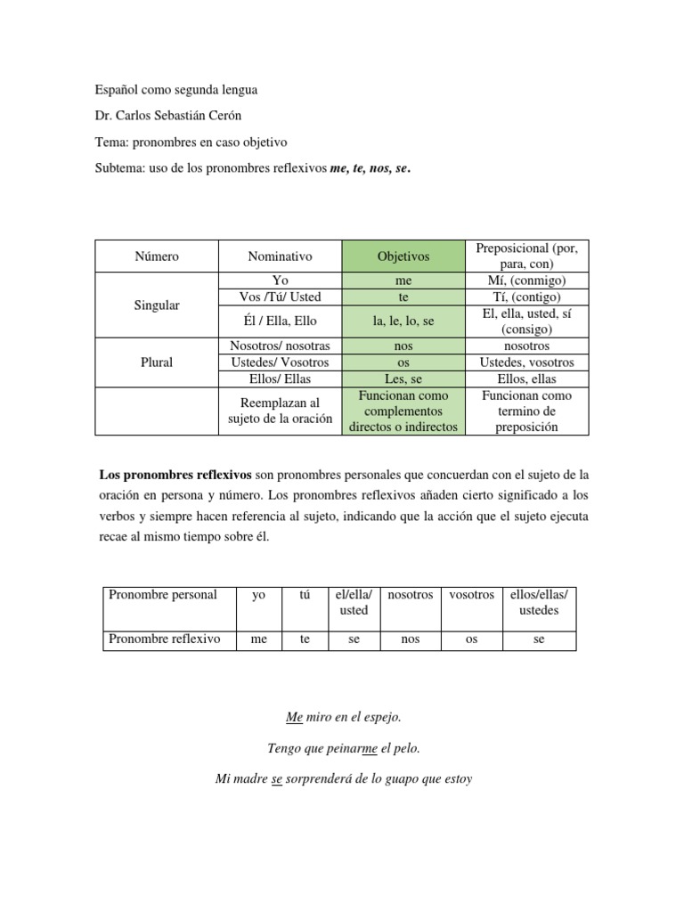 Pronombres Reflexivos | PDF | Verbo | Asunto (gramática)