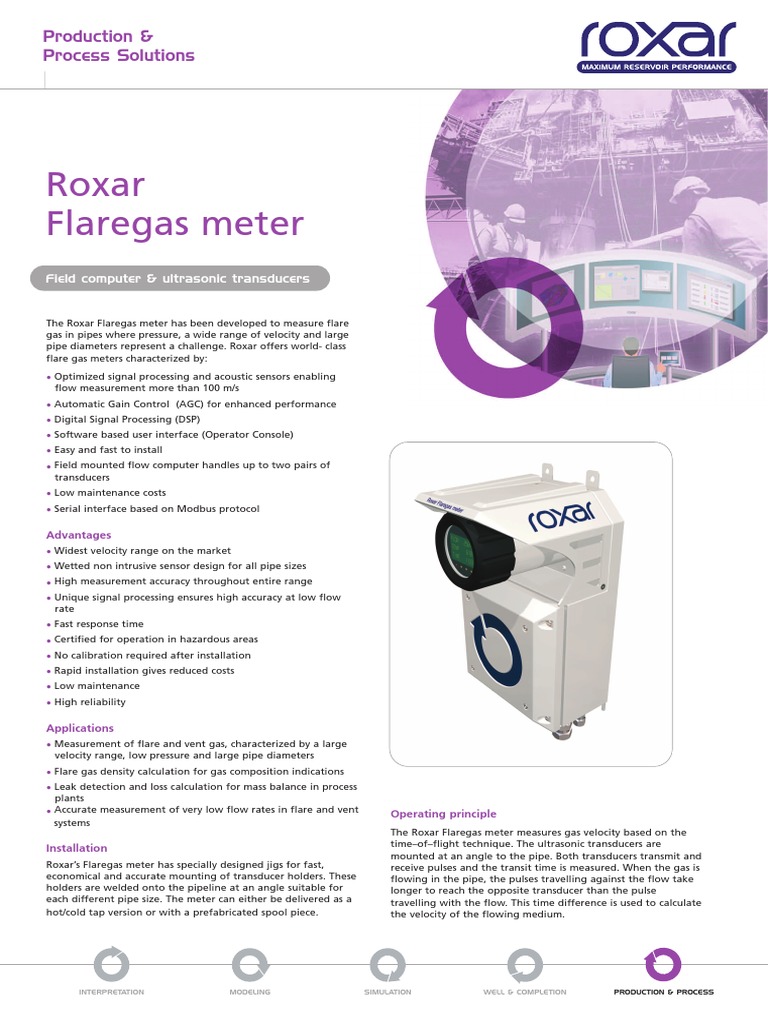 Roxar 01 - Flaregas Meter | PDF | Flow Measurement | Electrical Engineering