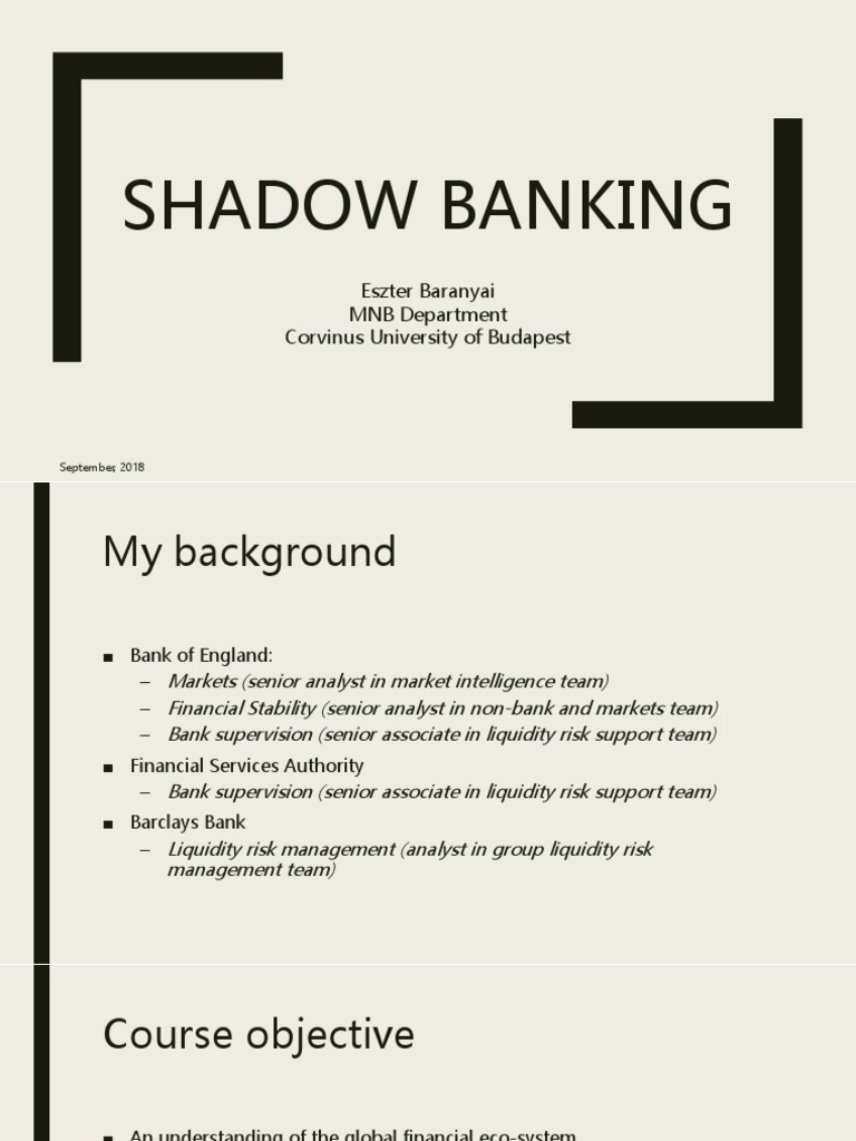 Baranyai Eszter - Shadow Banking | PDF | Shadow Banking System | Banks