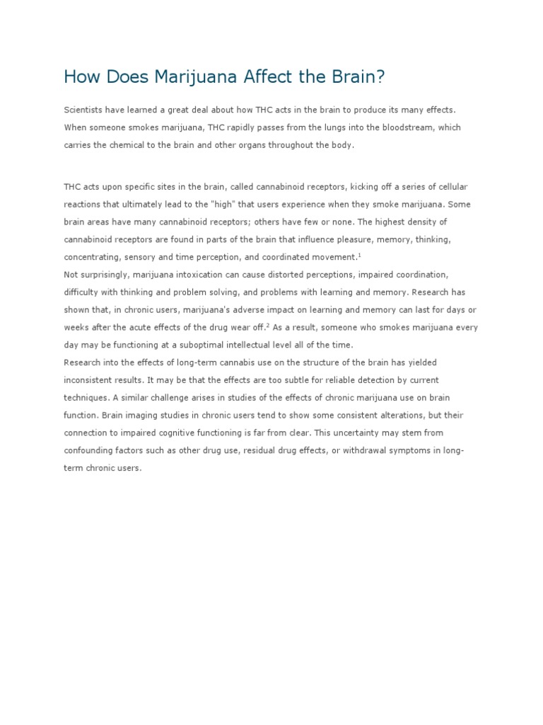 How Does Marijuana Affect The Brain | PDF