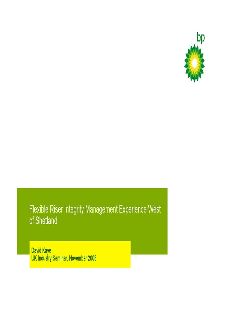 Flexible Riser Integrity Management Experience West of Shetland | PDF ...