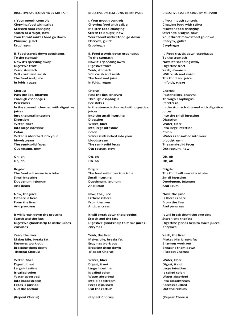 Digestive System Song for Kids | PDF | Human Digestive System ...