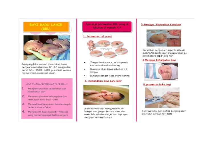 Leaflet Bayi Baru Lahir | PDF