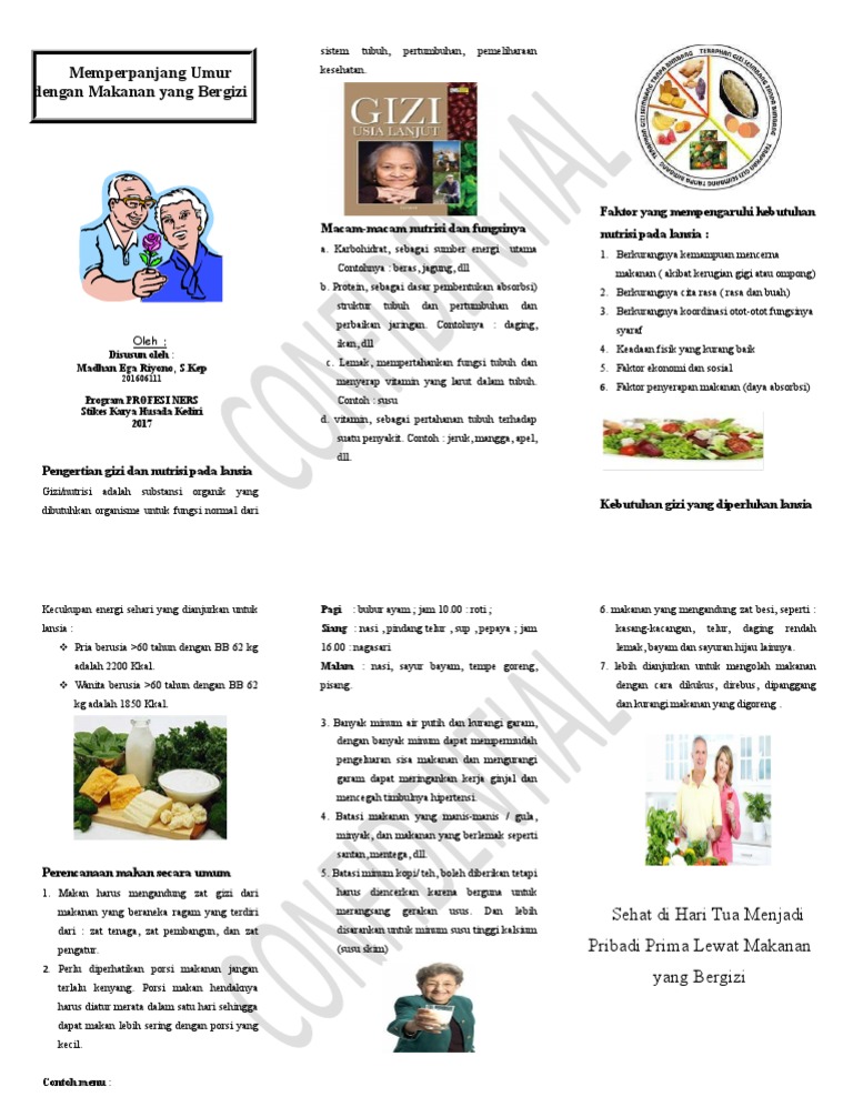 Leaflet Gizi Lansia Fixx | PDF