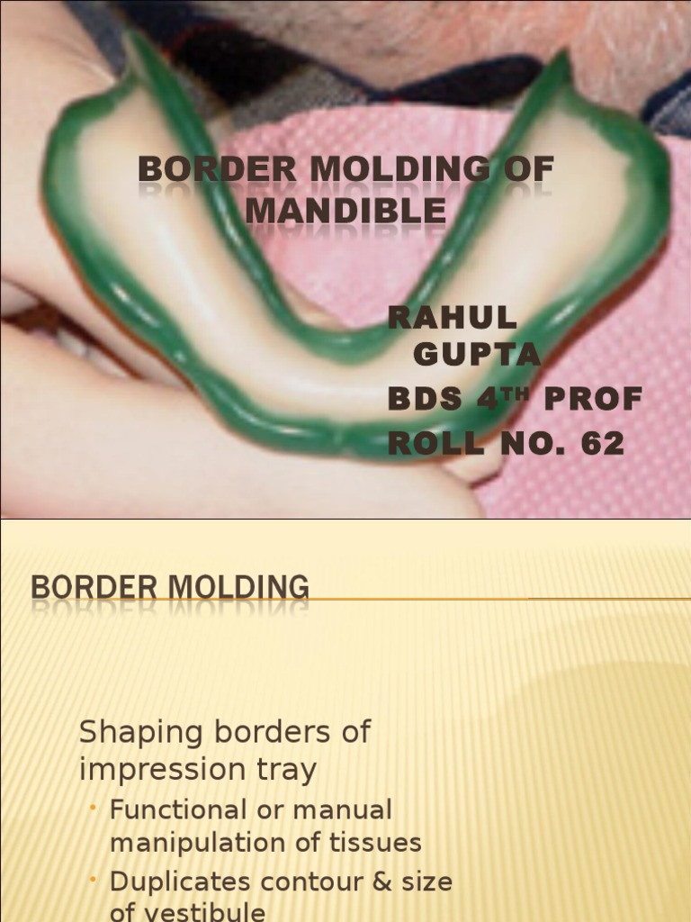 04 Border Molding | PDF | Tongue | Human Anatomy