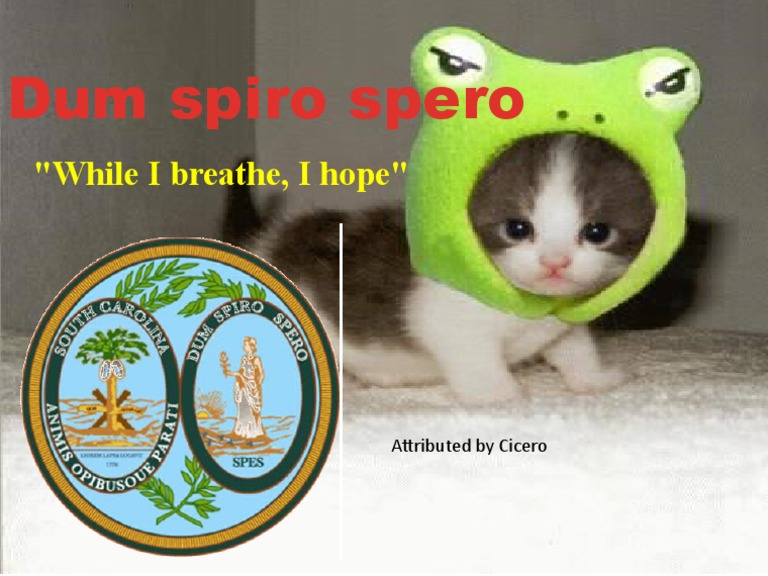 Dum Spiro Spero | PDF
