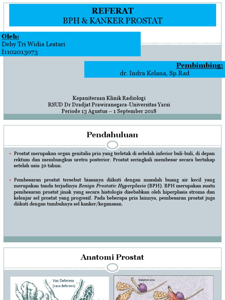 Referat BPH & CA Prostat | PDF
