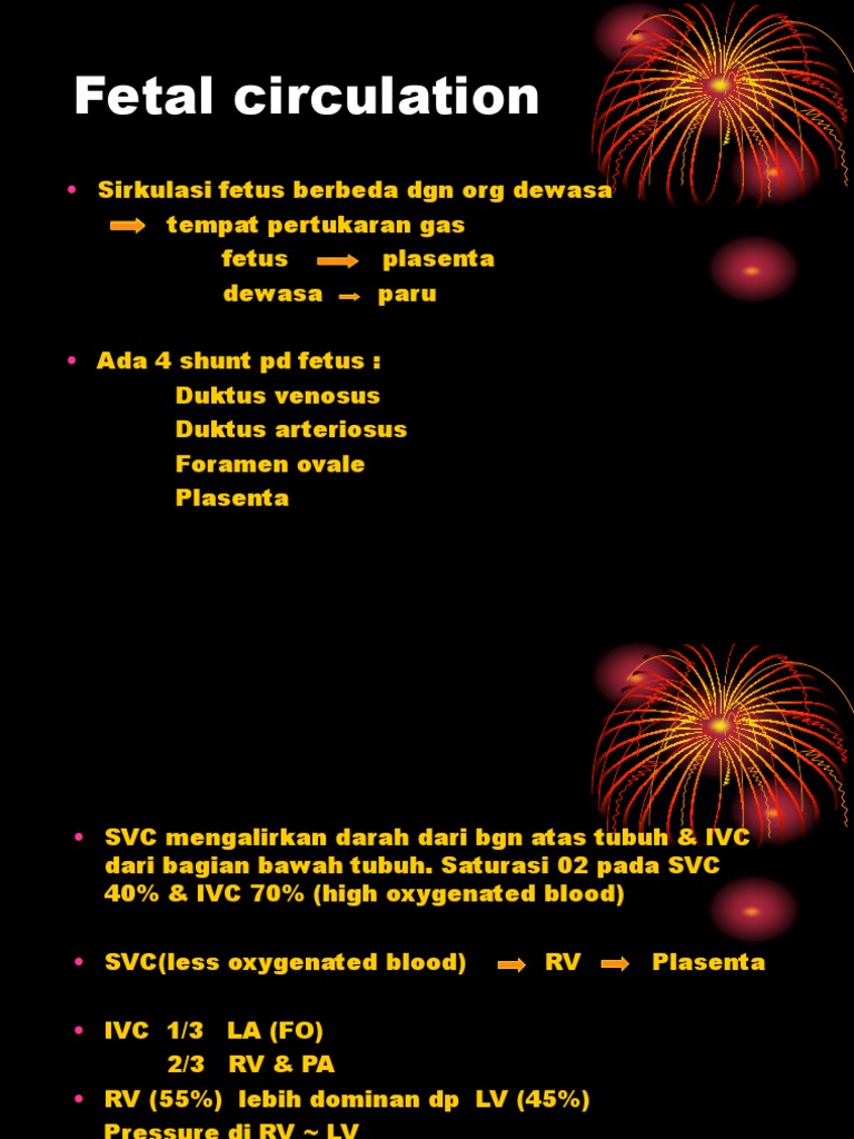 Fetal Circulation | PDF