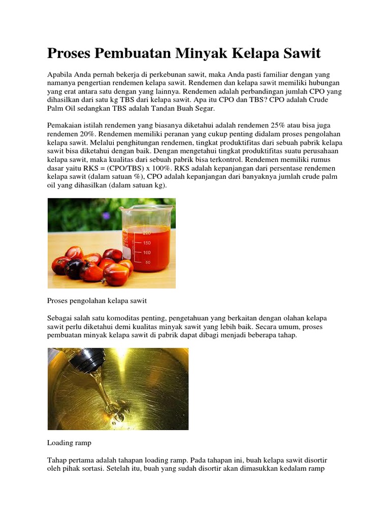 Proses Pembuatan Minyak Kelapa Sawit | PDF