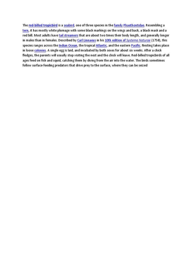 The Red | PDF