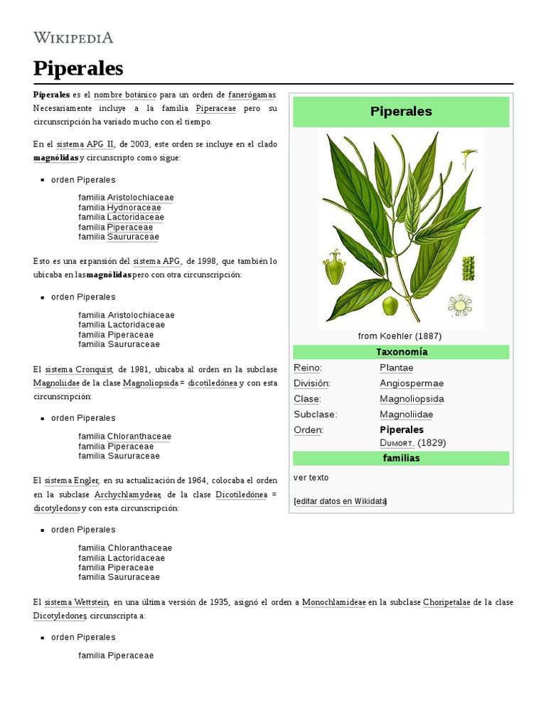 Piperales | PDF | Nomenclatura botánica | Taxonomía Vegetal