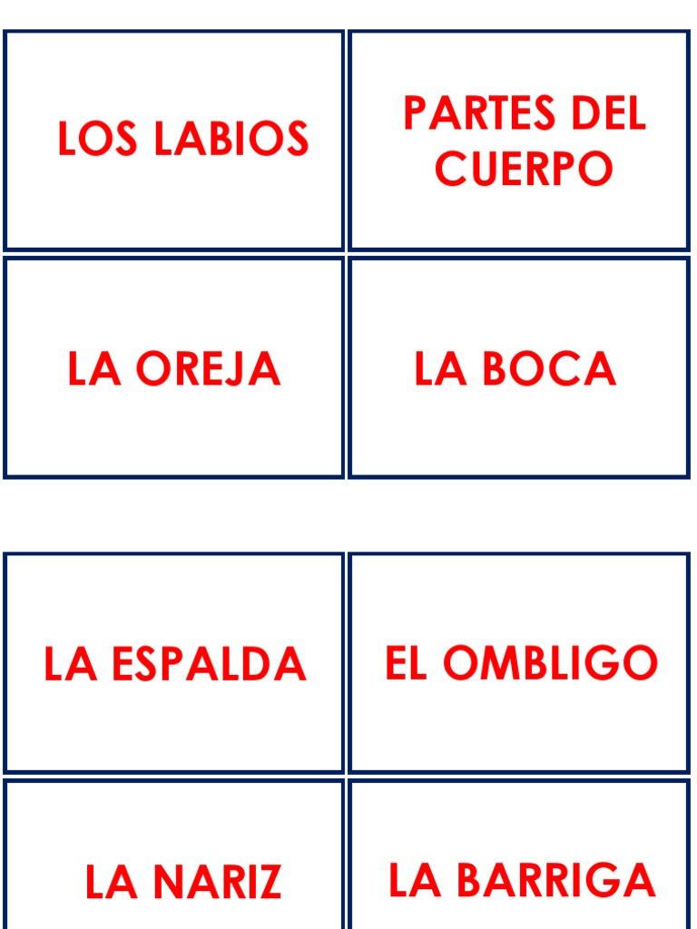 Flash Cards Partes Del Cuerpo | PDF