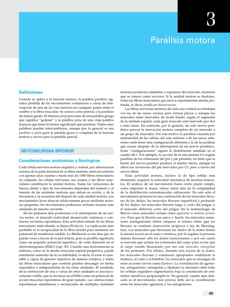 Parálisis Motora | PDF | Neurona motora | Cerebro