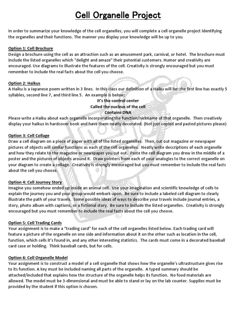 Cell Organelle Project | Download Free PDF | Organelle | Cell (Biology)